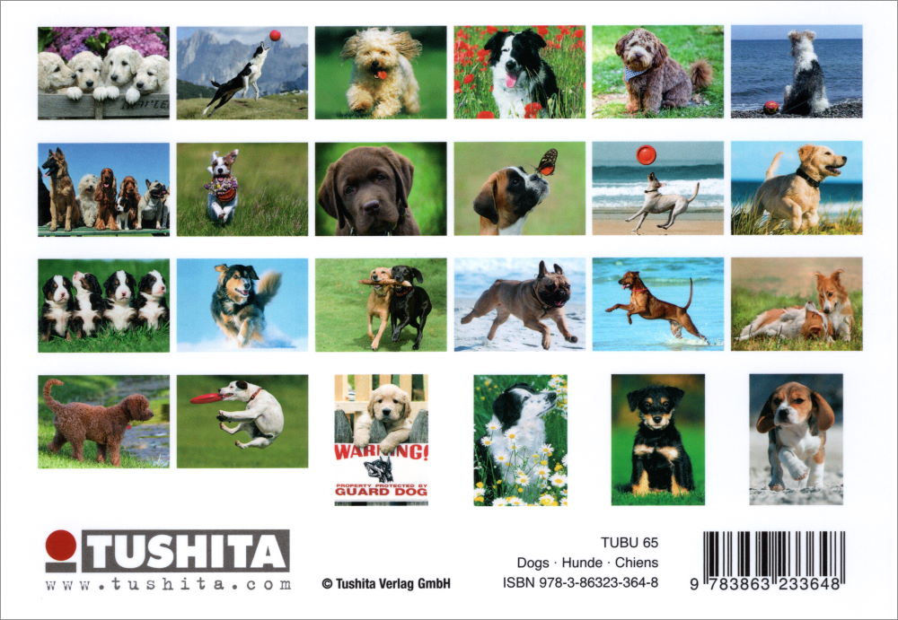 Postkartenbuch "Dogs * Hunde * Chiens" mit 24 süßen ...