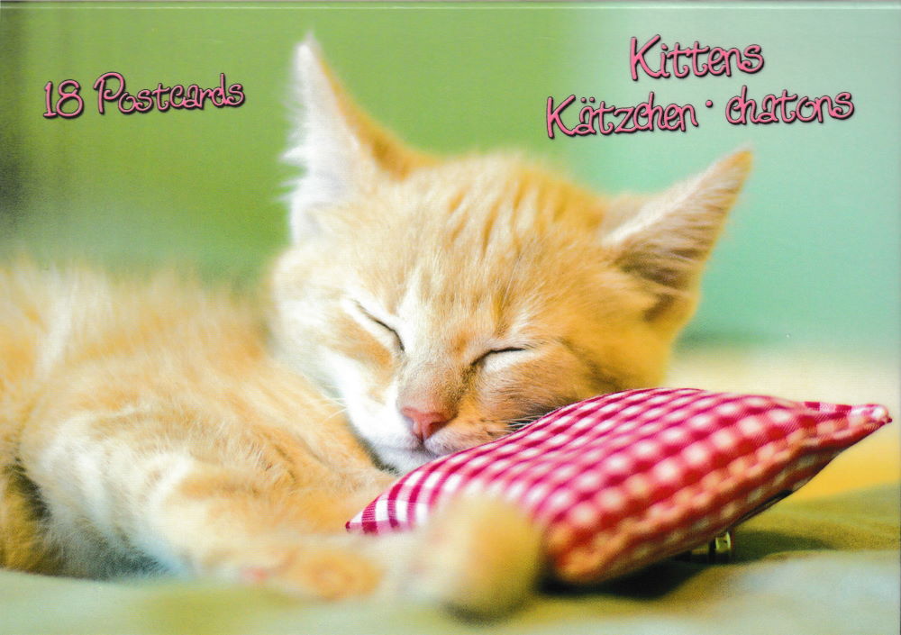 Postkartenbuch "Kittens * Kätzchen * chatons" mit 18 ...