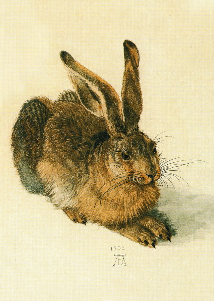Kunstkarten-Komplett-Set Albrecht Dürer