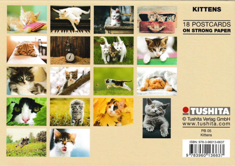 Postkartenbuch "Kittens * Kätzchen * chatons" mit 18 ...